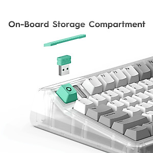 iQunix OG80 Gaming Keyboard, 2.4G Wireless Mechanical Keyboard with Cherry Red Switch