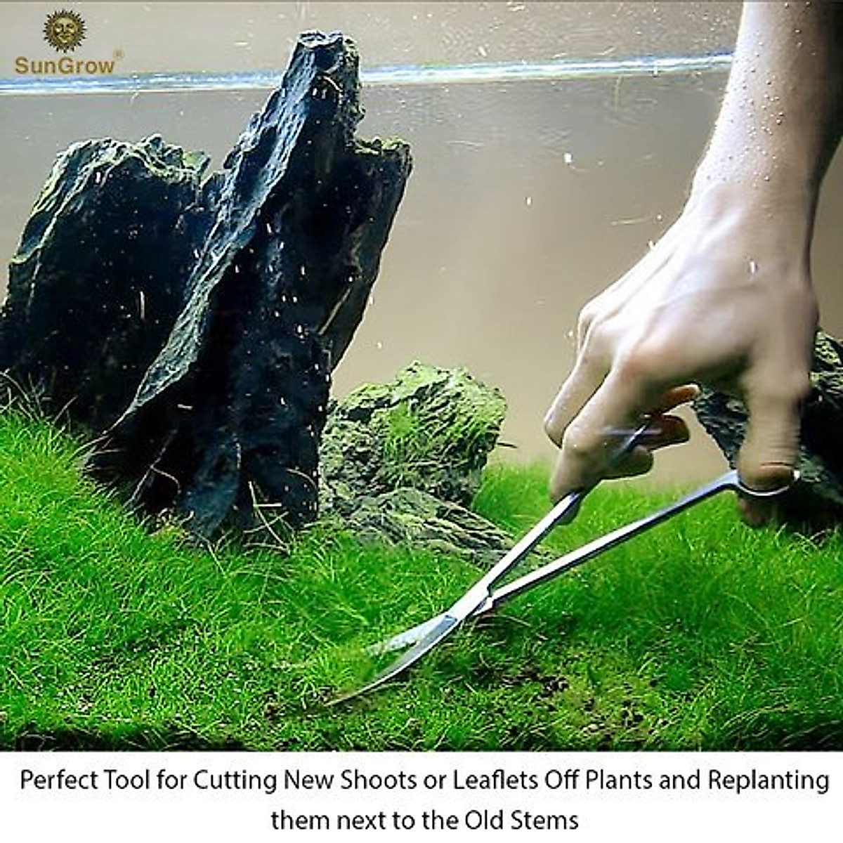 SunGrow Aquarium, Hermit Crab & Gecko Tank Tool Kit, Includes Straight & Curved Scissors, Substrate Spatula, Straight & Bent Tweezers, Stainless Steel, 5 Pcs per Pack