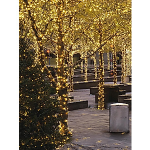 Twinkle Star Outdoor Christmas Lights Battery Operated 50 LED Mini String Light with 8 Modes, 16ft Waterproof Fairy Lights for Garden Xmas Tree Wedding Wreath Party Decoration (Warm White, 2 Pack)