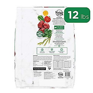 Nutro Natural Choice Small Bites Adult Dry Dog Food, Lamb & Brown Rice Recipe Dog Kibble, 12 lb. Bag