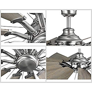 Progress Lighting P250000-081 Springer Ceiling Fans, 60 in, Nickel