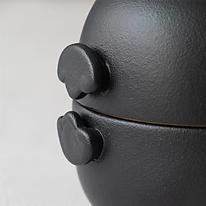 HEER Chinese Travel Gaiwan Tea Set for One, Ceramic Small Kungfu Teapot with Teacup for Adults, Japanese Style Tea Accessories for Tea Lovers.