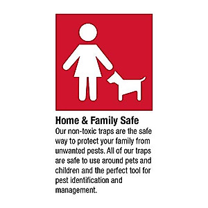 Catchmaster Cold Weather Glue Traps 6PK Mouse Traps Indoor for Home, Pest Control Adhesive Tray, Catch Bugs, Crickets, Spiders, Rats & Rodents, Pet Safe Pre-Baited Glue Boards for House, Shed & Garage