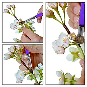 AK ART KITCHENWARE Sugar Cookie Brushes Set Fondant Flower Cake Decorating Supplies Bakeware Kitchen Utensil (Set of 2pcs)