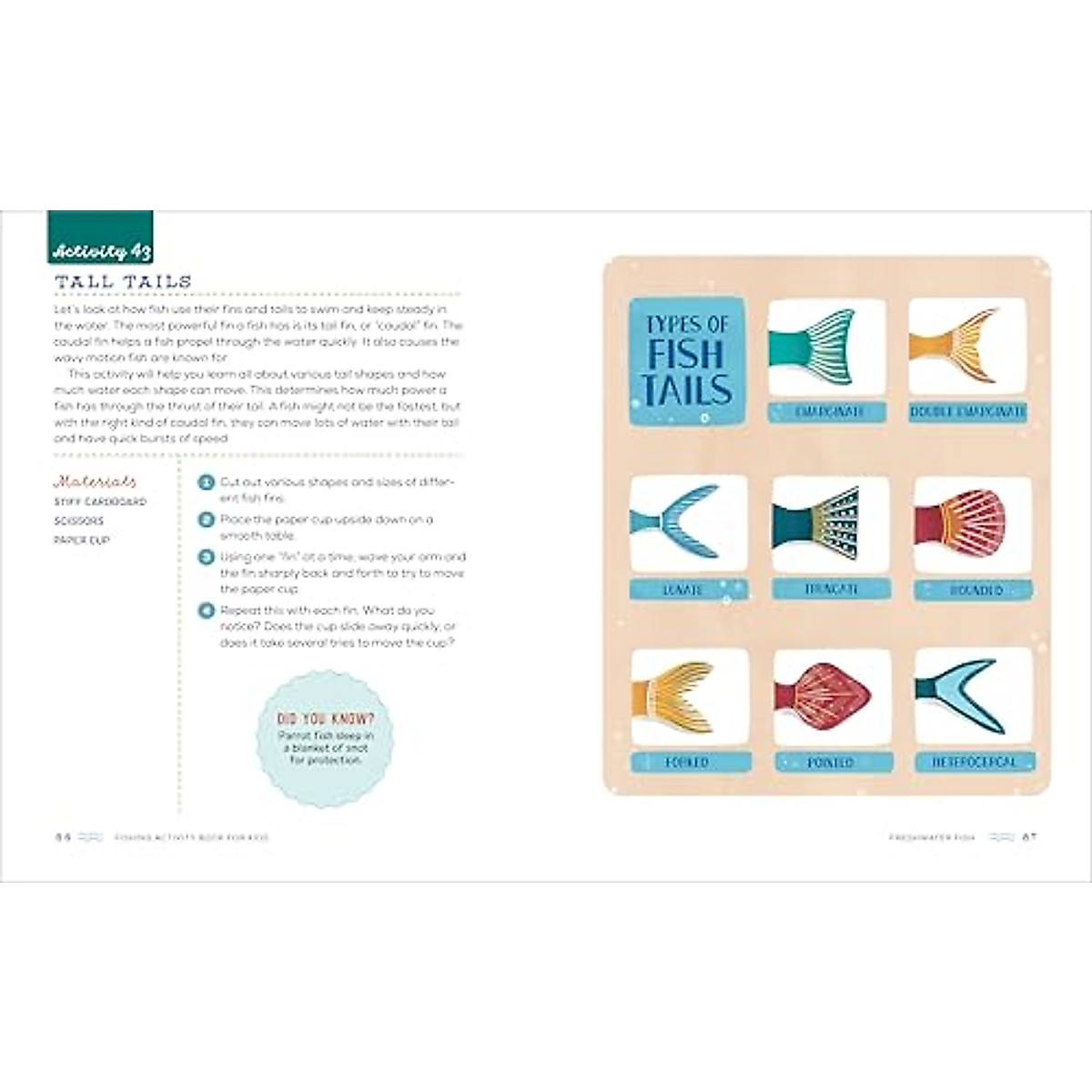 Fishing Activity Book for Kids: 50 Creative Projects to Inspire Curious Anglers (Exploring for Kids Activity Books and Journals)