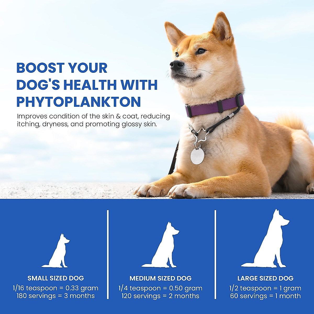 Mr. Ros Marine Phytoplankton: Supercharge Your Dog's Health (2.12 oz / 60 g). Essential Nutrients for Shiny Coat, Strong Joints & Overall Wellbeing