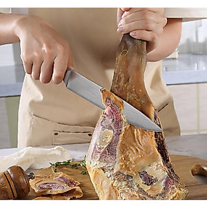 PAUDIN Carving Knife 8 inch, Ultra Sharp Brisket Slicing Knife, Premium Meat Cutting Knife German Stainless Steel, BBQ Knife with Ergonomic Handle, for Slicing Roast, Meats and Vegetables