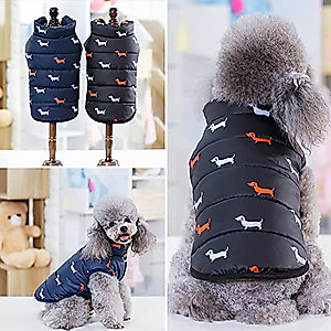 Pet Clothes for Small Dogs Male Designer Look Dog Clothes Cotton Vest Fall and Winter Warm British Cotton Teddy Warm Down Jacket Pet Coat