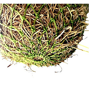 Majestic Ally 1.25”x1.25” Holes Ultra Slow Feed 40” Very Sturdy Hay Net with Bottom Ring for Horses, Nylon Rope Hanging, Adjustable Travel Feeder for Trailer and Stall, Reduces Waste (Purple)