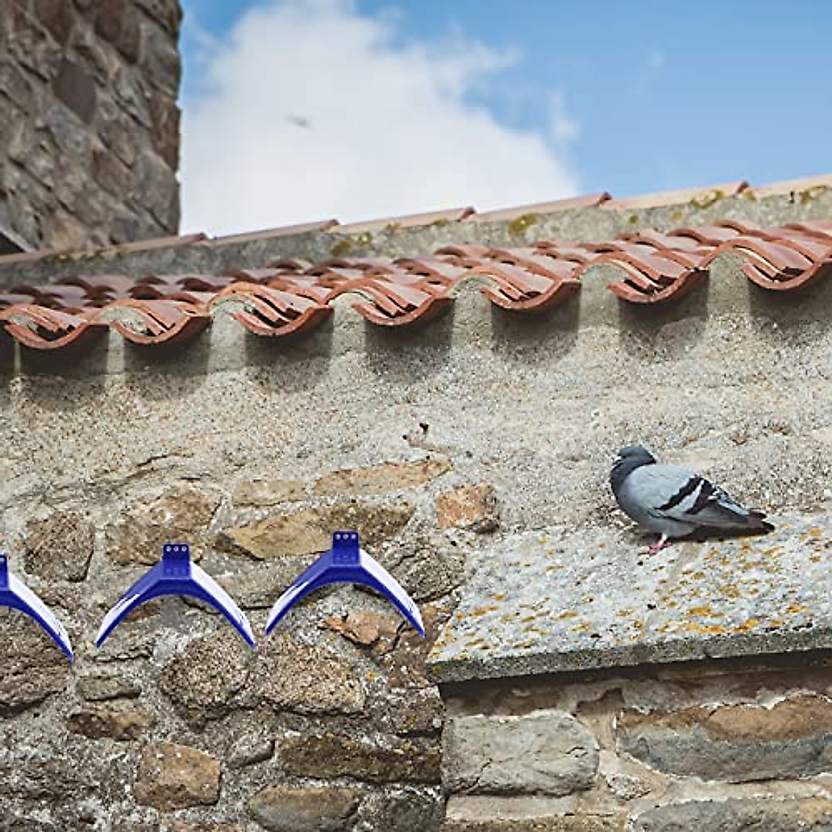 TEHAUX 10 PCS Pigeon Rest Rack Bird Perch Pack Bird Perch Support Cage Accessories Dove Supplies Bird Supplies