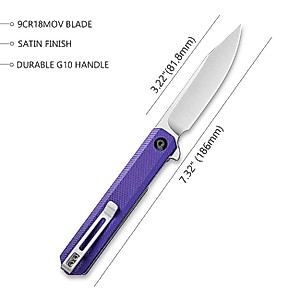 CIVIVI Chronic Folding Pocket Knife - Outdoor Survival Hunting Knife with 3.22 Inch Hollow Grind 9Cr18MoV Blade - G10 Handle Lightweight Flipper Knife for Men (C917D)