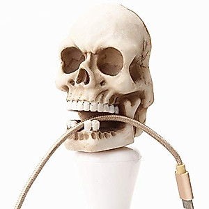 PANEY Skull Sculpture Key Storage Hook, Skeleton Key Holder Wall Mounted Hooks, Key Stand for Home Wall Decoration Funny Gift