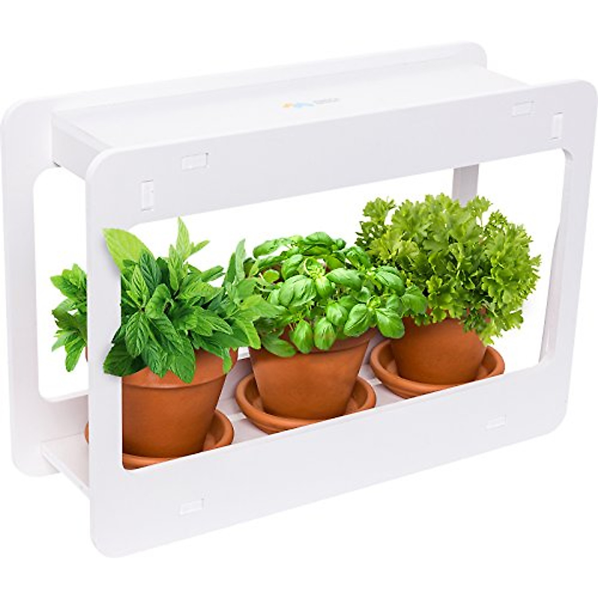 Indoor Herb Vegetable Plant Garden Kit, LED Grow Light Timer & Remote, Planter Grower Kitchen- Stocking Stuffer Unique Gift Holiday Christmas