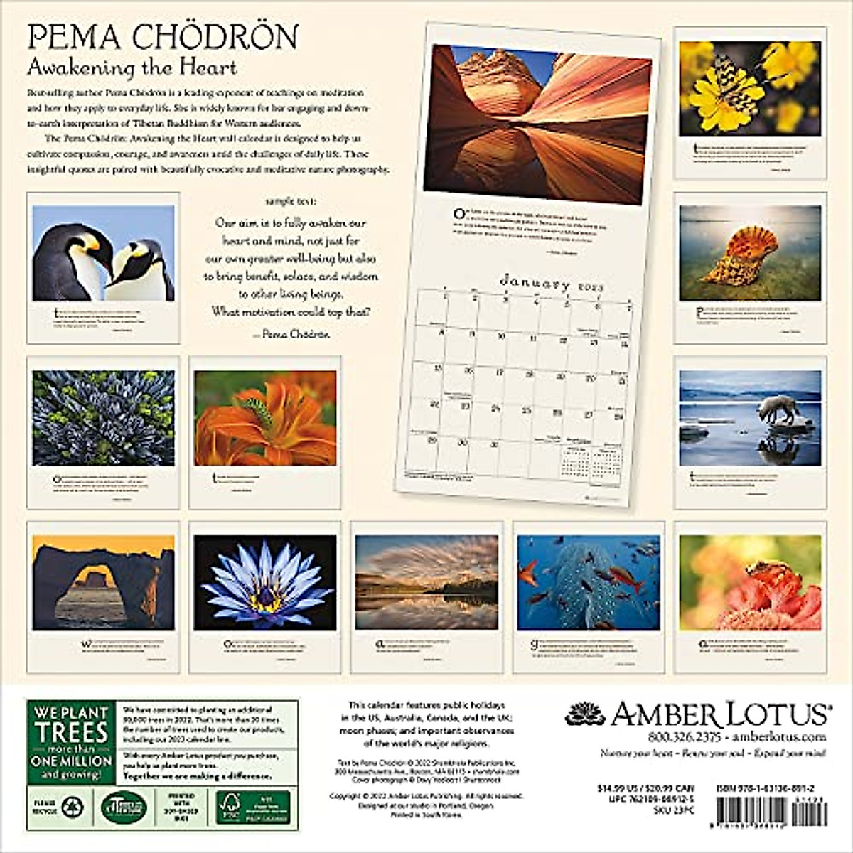 Pema Chodron 2023 Wall Calendar: Awakening the Heart - A Year of Inspirational Quotes | 12" x 24" Open | Amber Lotus Publishing