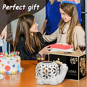 LESES Solar Lantern Lights, Turtle Outdoor Lantern with Waterproof LED Garden Light, Decorative Lanterns Table Lamp for Patio Yard Garden Decor Outside Clearance Gifts for Birthday Grandma - White