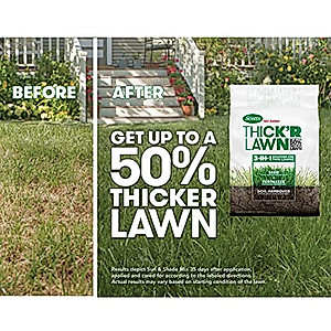 Scotts Turf Builder Thick'R Lawn Tall Fescue Mix: Seed, Fertilizer, Soil Improver, 12 lbs., 2-Pack