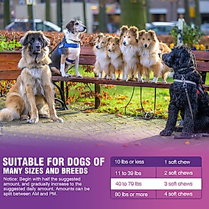 Glucosamine for Dogs 200pcs Joint Support Supplement Dog Hip and Joint Chondroitin Chews Treats with MSM Hemp Dog Joint Pain Relief Mobility Supplements Chicken Flavor Fit All Large Small Medium Breed