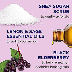 Dr Teal's Shea Sugar Body Scrub, Black Elderberry with Essential Oils, 19 oz (Pack of 3) (Packaging May Vary)