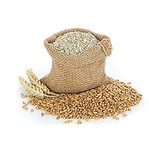 EnerCal Lancaster County Organic Farms 4LB Wheat Bran Bedding, Food for Mealworms and Superworms