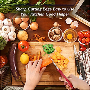Kitchen Shears, Rkqoa Kitchen Scissors Heavy Duty Cooking Scissors, Dishwasher Safe Scissors Kitchen House Essentials Supplies, Stainless Steel Sharp Utility Shears for Turkey, Poultry, Chicken, Meat