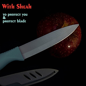 gajing Ceramic Fruit Knife Set 2-Piece with Sheaths Pink non-slip Grip handle,Antioxidation Sharp Blade For Fruit Paring When Traveling Which Placed in Bags, Fruit Plates Blue