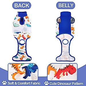 KOESON Recovery Suit for Dogs, Soft Dog Surgery Recovery Suit Female Male Anti Licking, Dinosaur Suitical Recovery Suit for Dogs After Surgery Dog Spay Recovery Suit with Pee Hole Blue L