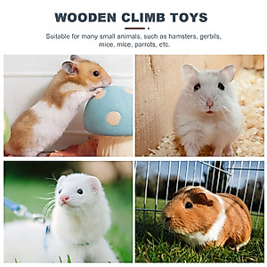 POPETPOP 2 Pcs Parrot Coconut Shell Nest Hamster Bed Natural Hanging Bed Hamster Hanging Bed Warm Sleeping Bag Hamster Warm Bed Pet Supplies Bird Resting Bed Hamster Hanging Nest Bird Nest