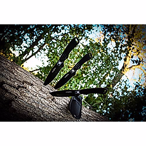BladesUSA Perfect Point Throwing Knives – Set of 3 – Black Stainless Steel Blades and Handles w/ Spider Design, Nylon Sheath, Full Tang Construction, Well Balanced, Throwing Sport Knives – RC-1793B