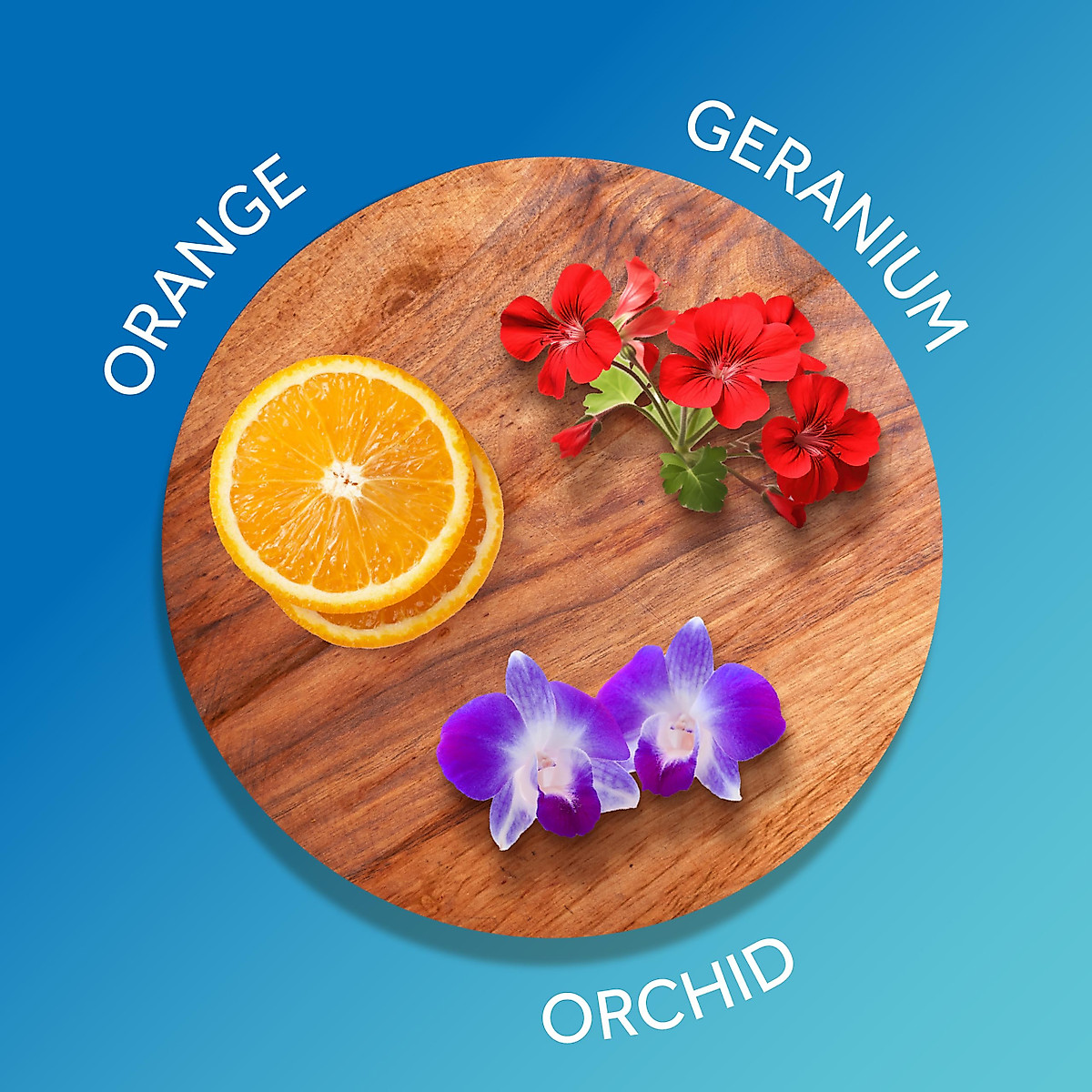 Calgon Fragrance Body Mist, Morning Glory, 8 fl oz