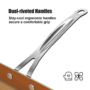 10 Inch Griddle Pan,Non Stick Grill Pan for Electric Stove Top Oven Suitable Copper Skillet Deep Square Fry Pan with Stainless steel Handle