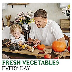 Seedra.US 6 Squash Seeds Variety Pack - 325+ Non GMO, Heirloom Seeds for Indoor Outdoor Home Garden - Summer and Winter Squash Seeds, Zucchini Seeds + Eggplant Seeds