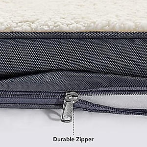 CozyLux Dog Beds for Large Dogs - Large Dog Bed for 65 lbs, Egg-Crate Foam Cat Bed Mat, Removable Washable Cover, Grey 35 X 22 X 3 inch