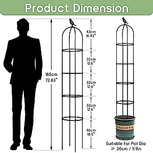IronFun Plant Trellis for Climbing Plants Support Outdoor/Indoor 2-Pack, Garden Trellis for Potted Plants, Obelisk Trellis Tomato/Rose, Plant Vine Support, Iron Pipe Wrapped with Plastic