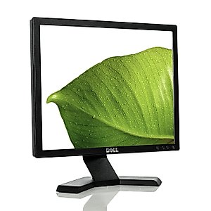 Dell E170S 17-inch flat panel monitor