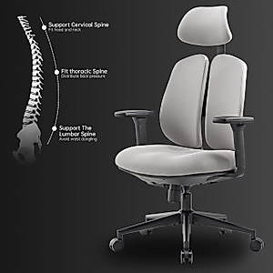 EUREKA ERGONOMIC Ergonomic Office Chair with Back Support, Home Office Desk Chairs Dual Backrests Office Chair, Executive Office Chair Adjustable Arms, Best Office Chair for Lower Back Pain, Beige