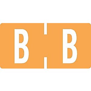 Doctor Stuff - File Folder Labels, Alphabet Letter B, TAB Products - TBAV Series Compatible Alpha Stickers, Fluorescent Orange, 1/2" x 1”, 500/Roll