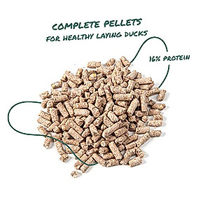 Manna Pro Duck Layer Pellet | High Protein for Increased Egg Production | Formulated with Probiotics to Support Healthy Digestion | 8 Pounds