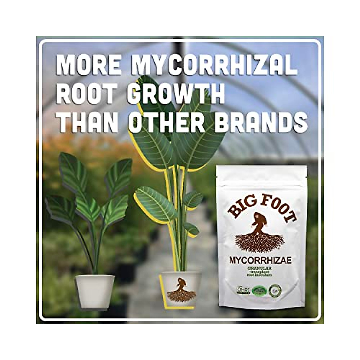 BIG FOOT GRANULAR Organic (2 lb )Mycorrhizae Fungi Inoculant with Plant Food Nutrient ingredients for Plant Root Growth, Use For Transplanting, 2 lbs
