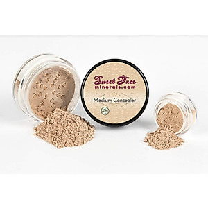 CONCEALER with BRUSH SET Full Size Mineral Makeup Powder Kit Sheer Bare Skin SPF 20 (Light Concealer)