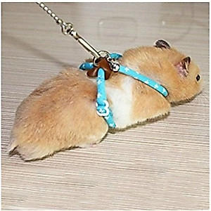 PetintheGarden Adjustable Harness Leash Hamster Rat Mouse Squirrel Sugar Glider Small Animal (Blue)