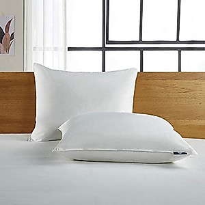 Serta 233 Thread Count White Feather Goose Down Pillow 100% Cotton King Size 2 Pack Pillow for Back Sleeper