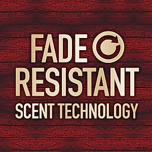 Old Spice Rz Deo Afterhou Size 3.00o Old Spice Red Zone Deodorant Afterhours 3.00 Oz