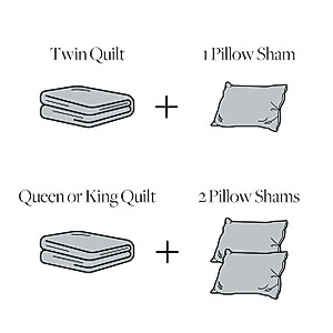 Soul & Lane Madrona 2-Piece Pieced Cotton Quilt Set - Twin Size with 1 Sham, Modern Masculine Quilted Bedspread in Brown and Gray, Contemporary Striped Bedding for Boy's Bedroom