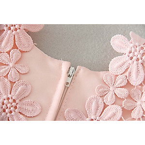 Happy Cherry Baby Girls Sleeveless Lace Formal Dress for Party Wedding 3-24 Months Pink