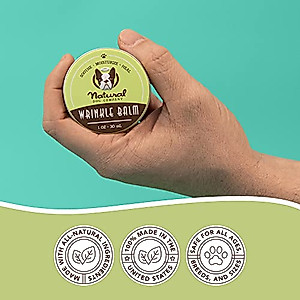 Natural Dog Company Wrinkle Balm, 1 oz. Tin, Dog lotion for dry itchy skin, Cleans Wrinkles, Yeast Infection treatment for dogs, Plant based, Frenchie Dog Accessories, Made in USA