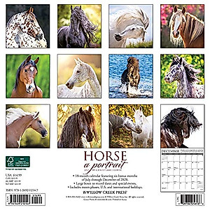Horse: A Portrait 2021 Wall Calendar
