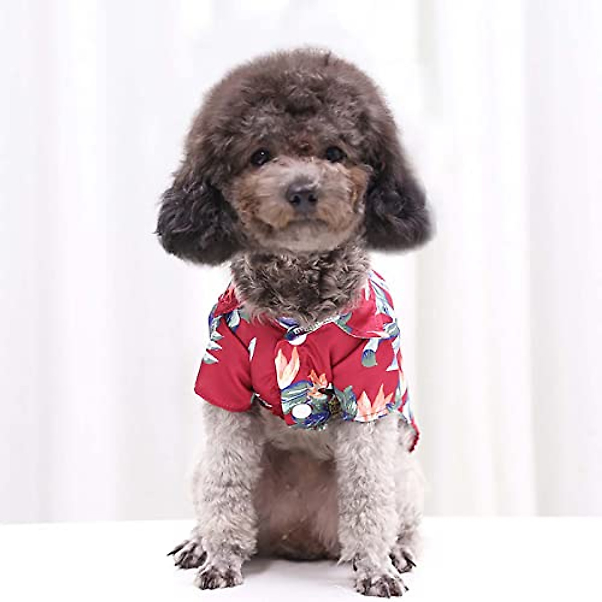 Pet Summer T Shirts Hawaii Style Floral Dog Shirt Hawaiian Printed Pet T Shirts Breathable Cool Clothes Beach Seaside Puppy Shirt Sweatshirt for Small Puppy Dog Close for Girls (Red, XS)