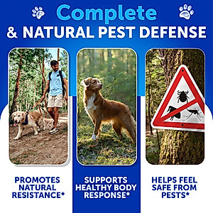 Flea and Tick Chewables for Dogs - Made in USA - Natural Flea and Tick Supplement for Dogs - Oral Flea Pills for Dogs - All Breeds and Ages - 70 Chews