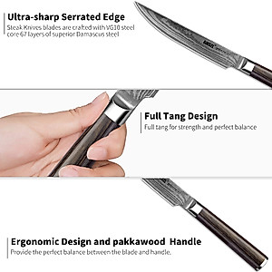 AMSZL Steak Knives - Set of 4 - Damascus - 5.5" - Japanese VG10 Core Steel Forged Straight Edge - Pakka Handle - Gift Box