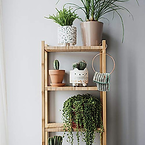 Cabilock Sock Dryer Stainless Steel Round Tie Hanger Belt Silk Scarf Ring Storage Closet Hanger (Rose Gold) Clothes Hangers